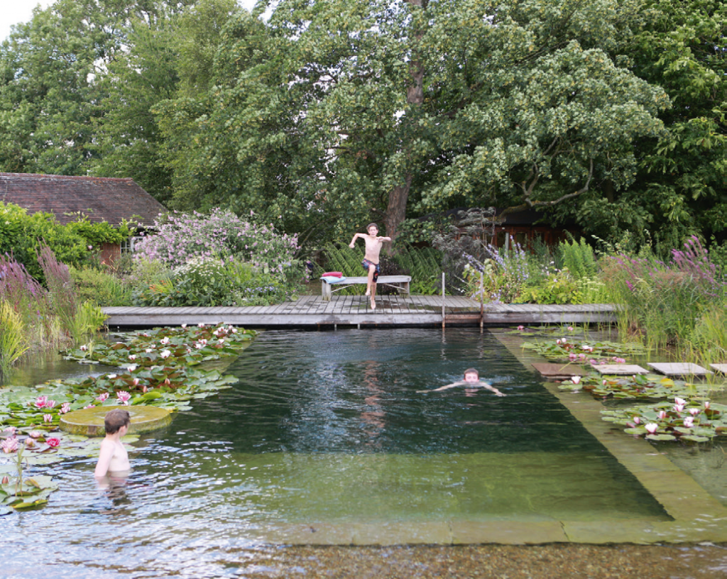 Making The Switch To Natural Pools