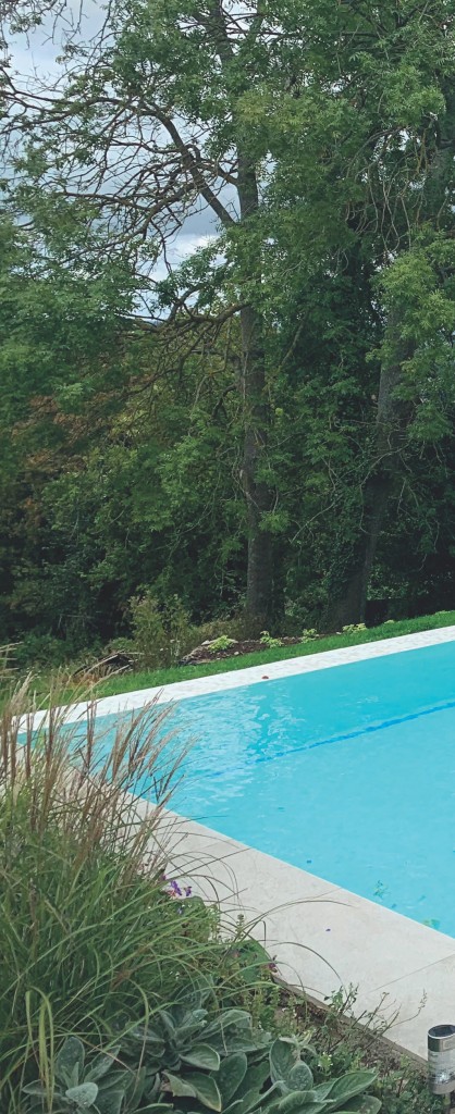 GOLD RIBBON | Pool and Spa Scene