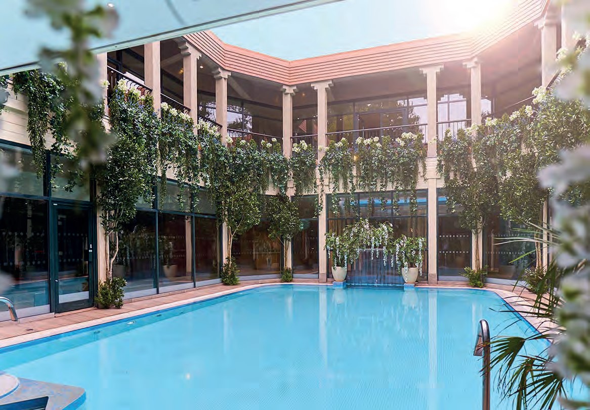 FOREST BATHING | Pool and Spa Scene