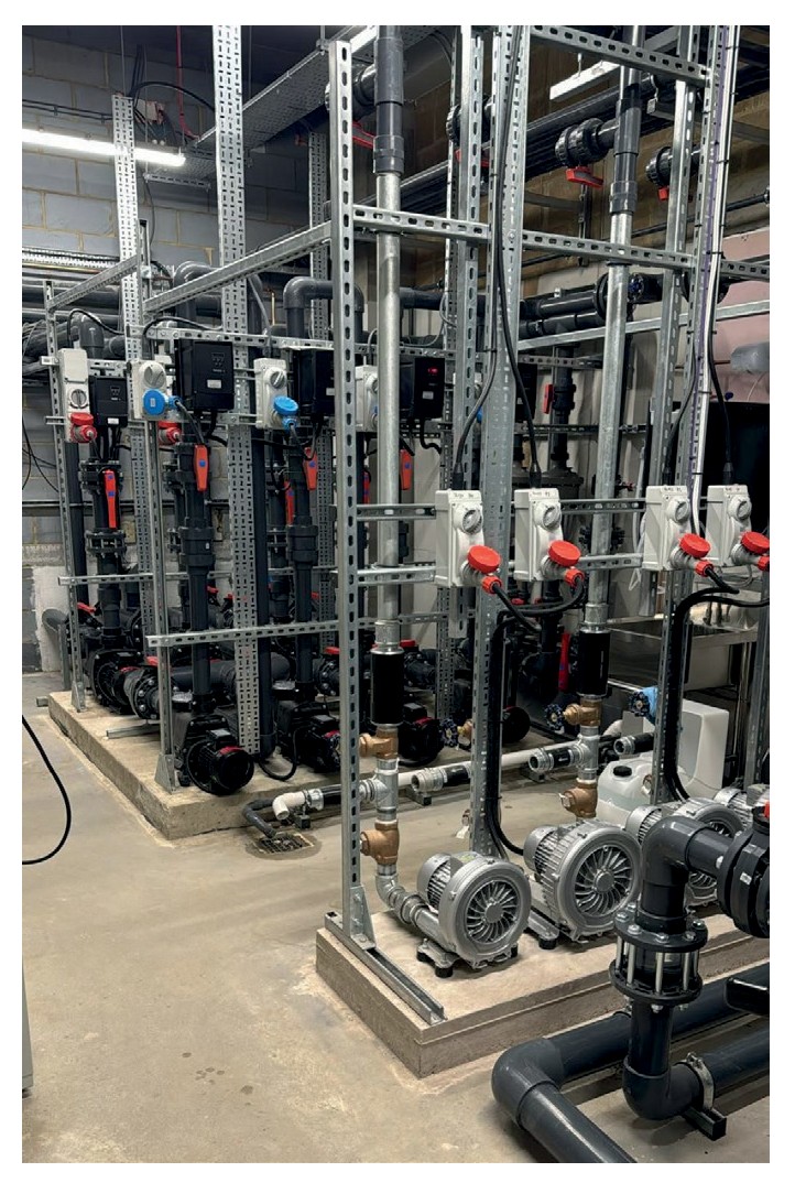 GAME, SET AND MATCH! | Pool and Spa Scene